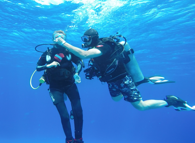 Diveheart home - Diveheart